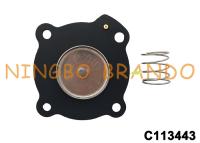 China G353A041 SCG353A043 3/4'' C113443 Diaphragm Repair Kit for sale