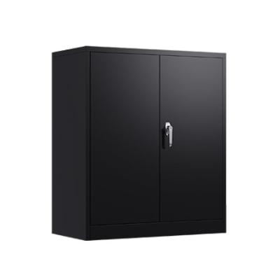 China Steel Storage Cabinet Metal Steel Cabinet 2 Door Storage Cabinet with adjustable shelves for sale