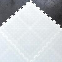 China Self Lubricating Ice Skating Floor Tiles 12mm Thick 770g Interlocking Sport Surface for Indoor Outdoor Use for sale