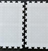 China Self Lubricating Ice Skating Floor Tiles 12mm Thick 770g Interlocking Sport Surface for Indoor Outdoor Use for sale