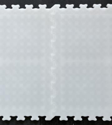 China Self Lubricating Ice Skating Floor Tiles 12mm Thick 770g Interlocking Sport Surface for Indoor Outdoor Use for sale