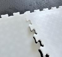 China Interlocking Hockey Skating Tiles 462x460x12mm - Smooth Polypropylene Flooring for Indoor/Outdoor Use for sale