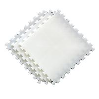 China Interlocking Hockey Skating Tiles 462x460x12mm - Smooth Polypropylene Flooring for Indoor/Outdoor Use for sale
