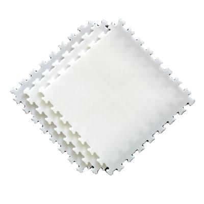China Interlocking Hockey Skating Tiles 462x460x12mm - Smooth Polypropylene Flooring for Indoor/Outdoor Use for sale