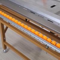 China 120*100cm Lightweight Portable Sliding Table Saw With Vacuum Cleaner for sale