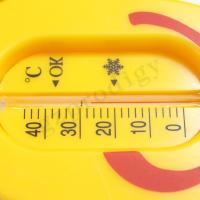 China OEM Floating Baby Bath Water Thermometer , Portable Bath Temperature Tester for sale