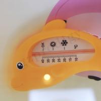 China Prodigy PP Bathroom Baby Shower Thermometer Kids Safety Test Water Temperature for sale