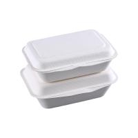 China Clamshell Lid Leakproof 1000ml Bagasse Takeaway Containers for sale