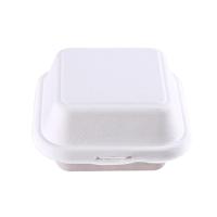 China Clamshell Lid Leakproof 1000ml Bagasse Takeaway Containers for sale