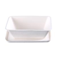 China Bagasse Rectangle 750ml Pulp Food Containers With Lid for sale
