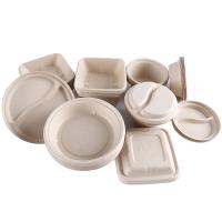 China Desechable 480mm Biodegradable Food Containers With Lids for sale