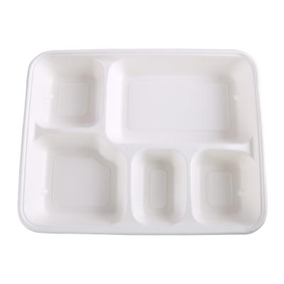 China SGS Biodegradable  Lunch Tray for sale