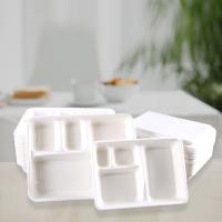 China SGS Biodegradable  Lunch Tray for sale