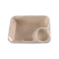 China Biodegradable Bagasse Food Container with Sauce Cup for Take Away for sale