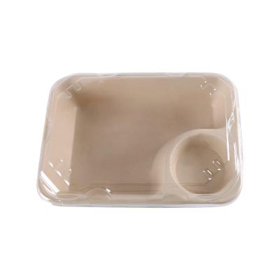 China Biodegradable Bagasse Food Container with Sauce Cup for Take Away for sale