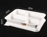 China Sustainable Biodegradable Bagasse Food Containers for sale