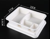 China Sustainable Biodegradable Bagasse Food Containers for sale