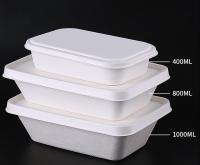 China Rectangular Decomposable 800ml Bio Takeaway Containers for sale