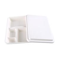 China Zhuangjia Biodegradable Takeout Sugarcane Pulp Plates for sale