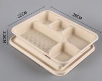 China Multi Compartments TUV 280mm Sugarcane Paper Plates With Lid for sale