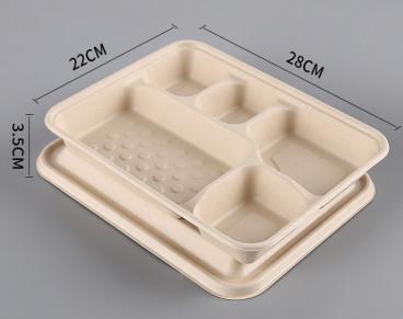 China Multi Compartments TUV 280mm Sugarcane Paper Plates With Lid for sale