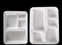 China Multi Compartments TUV 280mm Sugarcane Paper Plates With Lid for sale