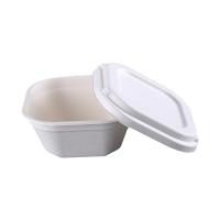 China Square Sugarcane Compostable 600ml Pulp Food Containers for sale