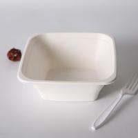 China Sustainable Square Biodegradable Takeaway Food Containers for sale