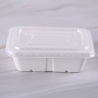 China 500ml Biodegradable Microwavable  Bagasse Food Containers With Clear Lid for sale