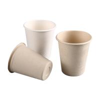 China Sauces Sustainable Slime Bio Takeaway Containers for sale