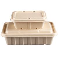 China Desechable Microwavable Sugarcane Disposable Containers for sale