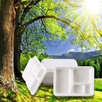 China Eco Portable FDA Thickened Biodegradable Paper Plates for sale