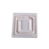 China Takeout Eco Friendly Disposable 110mm Sugarcane Pulp Plates for sale
