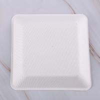 China Disposable Party Bagasse SGS Sugarcane Pulp Plates for sale