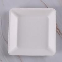 China Biodegradable Square Sugarcane Bagasse Paper Plates 4 Inch Microwavable for sale