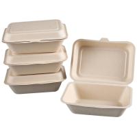 China Custom Bagasse Clamshell Containers Box 1000ml Compostable for sale