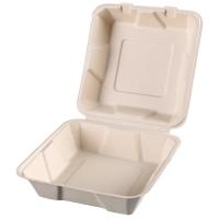 China Disposable Styrofoam  Sugarcane Clamshell Food Container 3 Compartment Freezer Safe for sale