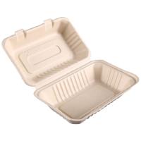 China Bagasse Biodegradable Clamshell Lunch Box Eco Friendly For Take Out for sale