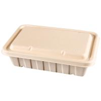 China Desechable Microwavable Sugarcane Disposable Containers for sale