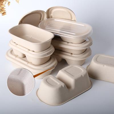China Desechable 480mm Biodegradable Food Containers With Lids for sale