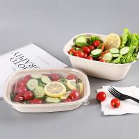 China Bagasse Rectangle 750ml Pulp Food Containers With Lid for sale