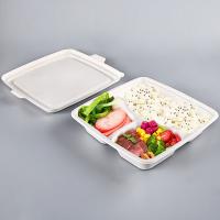 China Greaseproof ODM Biodegradable Sugarcane Pulp Plates for sale