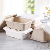 China Beverage Bagasse Takeaway Biodegradable Lunch Box for sale