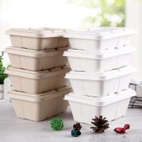 China Greaseproof Restaurant 170mm Pulp  Food Containers for sale