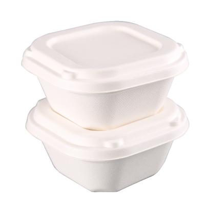 China Sustainable Square Biodegradable Takeaway Food Containers for sale