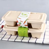China Biodegradable Disposable Rectangle 750ml 1000ml Bagasse Packaging Lunch Box for sale