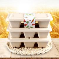 China Biodegradable 3 Compartment Wheat Straw Box with Lid for Take out for sale