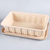China bagasse SGS  Eco Friendly Microwavable Food Containers for sale