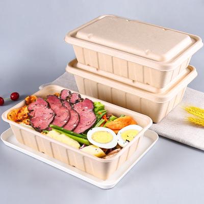 China Natural Disposable OEM Bio Takeaway Containers for sale