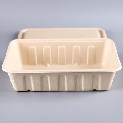 China Recycled Eco Friendly OEM 2500ml Compostable Lunch Box for sale